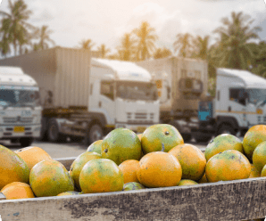 Asset Monitoring & Cold Chain Management | Equipment Tracking | GoFleet