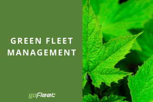 Green Fleet Management | How to Increase Fleet Sustainability